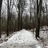 Heads Pond, New Hampshire - 848 Reviews, Map | AllTrails