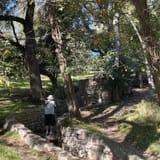 Landa Park Loop, Texas - 451 Reviews, Map | AllTrails