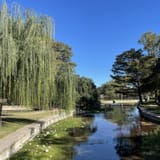 Landa Park Loop, Texas - 451 Reviews, Map | AllTrails