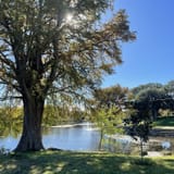 Landa Park Loop, Texas - 451 Reviews, Map | AllTrails