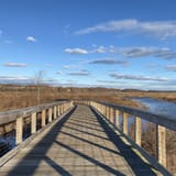 Neabsco Creek Boardwalk, Virginia - 969 Reviews, Map | AllTrails