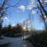 Neabsco Creek Boardwalk, Virginia - 969 Reviews, Map | AllTrails