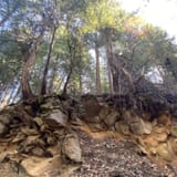 Lyons Dam, California - 561 Reviews, Map | AllTrails