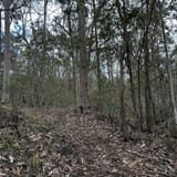 Toohey and Nathan Ridge Track , Queensland, Australia - 597 Reviews ...