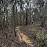 Toohey and Nathan Ridge Track , Queensland, Australia - 597 Reviews ...