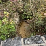 Torreya Trail, Florida - 430 Reviews, Map | AllTrails