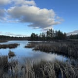 North Country Trail and Fife Lake Loop, Michigan - 384 Reviews, Map ...