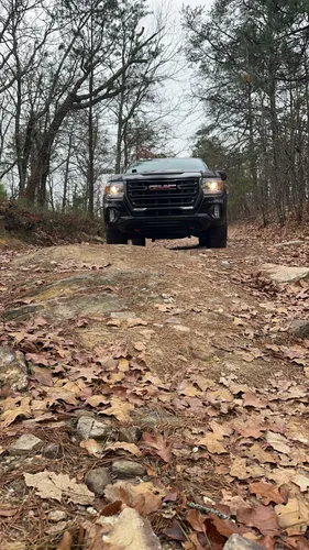 Best Off Road Driving Trails in Alabama | AllTrails