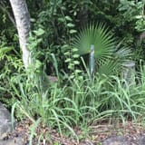 Magens Bay Beach Trail, Saint Thomas, US Virgin Islands - 349 Reviews ...