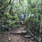 Magens Bay Beach Trail, Saint Thomas, US Virgin Islands - 349 Reviews ...