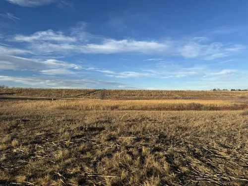 Best Hikes and Trails in Willow Springs Open Space | AllTrails