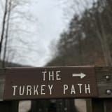 Turkey Path, Pennsylvania - 643 Reviews, Map | AllTrails