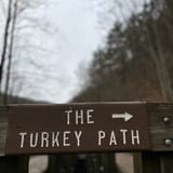 Turkey Path, Pennsylvania - 643 Reviews, Map | AllTrails