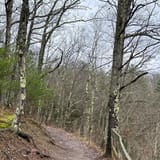 Turkey Path, Pennsylvania - 643 Reviews, Map | AllTrails