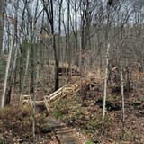 Turkey Path, Pennsylvania - 643 Reviews, Map | AllTrails