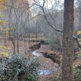 Henderson Park Loop, Georgia - 1,559 Reviews, Map | AllTrails