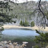 Cub Lake Loop, Colorado - 1,902 Reviews, Map | AllTrails