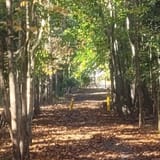 Thompson Island Trail, Delaware - 104 Reviews, Map | AllTrails