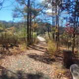 Thompson Island Trail, Delaware - 104 Reviews, Map | AllTrails