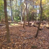 Thompson Island Trail, Delaware - 104 Reviews, Map | AllTrails