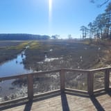 Thompson Island Trail, Delaware - 104 Reviews, Map | AllTrails