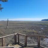 Thompson Island Trail, Delaware - 104 Reviews, Map | AllTrails