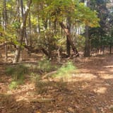 Thompson Island Trail, Delaware - 104 Reviews, Map | AllTrails