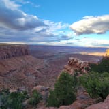 White Rim Overlook Trail, Utah - 2,013 Reviews, Map | AllTrails