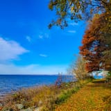 Turkey Point Lighthouse Trail, Maryland - 895 Reviews, Map | AllTrails