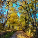 Turkey Point Lighthouse Trail, Maryland - 895 Reviews, Map | AllTrails