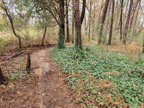 Best Hikes and Trails in Purser-Hulsey Park | AllTrails