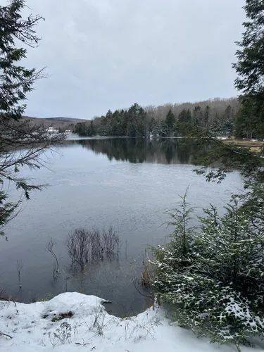 Best Forest Trails in Gully Lake Wilderness Area | AllTrails