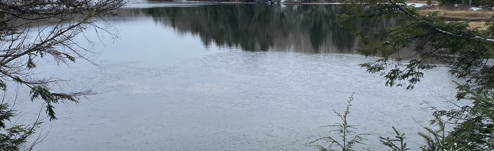 Gully Lake Wilderness Area Trail, Nova Scotia, Canada - 23 Reviews, Map ...