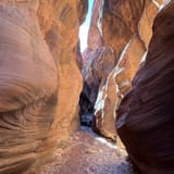 Wire Pass Trail, Utah - 2,685 Reviews, Map | AllTrails