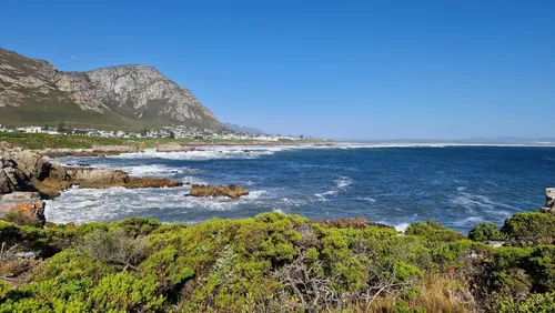 10 Best Trails and Hikes in Hermanus | AllTrails