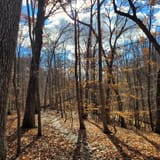 Bacon Ridge Trail: Phase 3, Maryland - 2,209 Reviews, Map | AllTrails