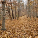 Bacon Ridge Trail: Phase 3, Maryland - 2,209 Reviews, Map | AllTrails