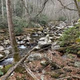 Mouse Creek Falls via Big Creek Trail, Tennessee - 2,538 Reviews, Map ...