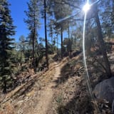 Grindstone Canyon Loop, New Mexico - 1,562 Reviews, Map | AllTrails