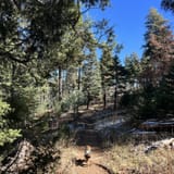 Grindstone Canyon Loop, New Mexico - 1,562 Reviews, Map | AllTrails