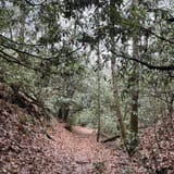 Deep Creek Loop Trail, North Carolina - 1,984 Reviews, Map | AllTrails