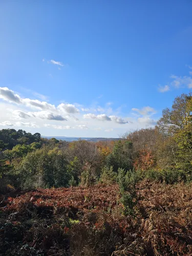 10 Best Trails, Walks, and Paths in Haslemere | AllTrails