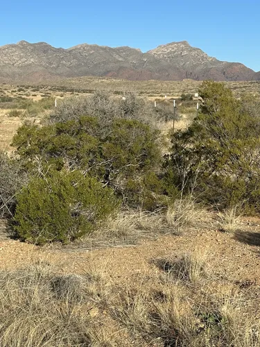 Best Hikes and Trails in Castner Range National Monument | AllTrails