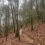 Fall Branch Falls Trail, Georgia - 1,078 Reviews, Map | AllTrails
