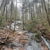 Fall Branch Falls Trail, Georgia - 1,078 Reviews, Map | AllTrails