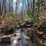John Rock Trail Loop, North Carolina - 2,088 Reviews, Map | AllTrails