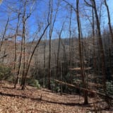 John Rock Trail Loop, North Carolina - 2,088 Reviews, Map | AllTrails