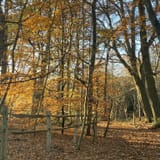 Finchampstead Ridges and Blackwater Valley Circular, Berkshire, England ...