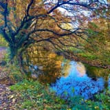 Finchampstead Ridges and Blackwater Valley Circular, Berkshire, England ...