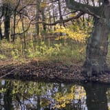 Finchampstead Ridges and Blackwater Valley Circular, Berkshire, England ...